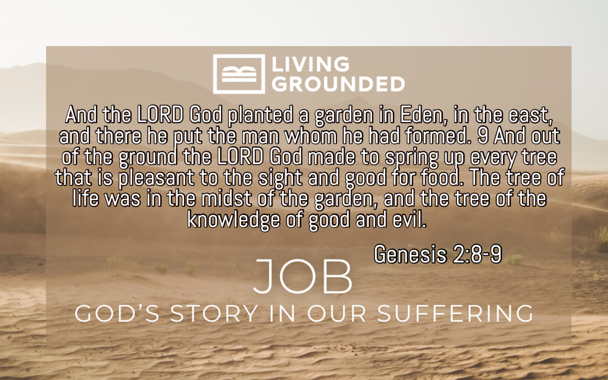 Job: Why Does Evil Exist? – Living Grounded