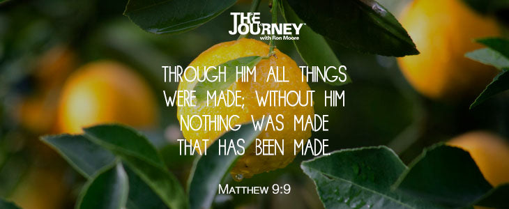 The Creator – Living Grounded